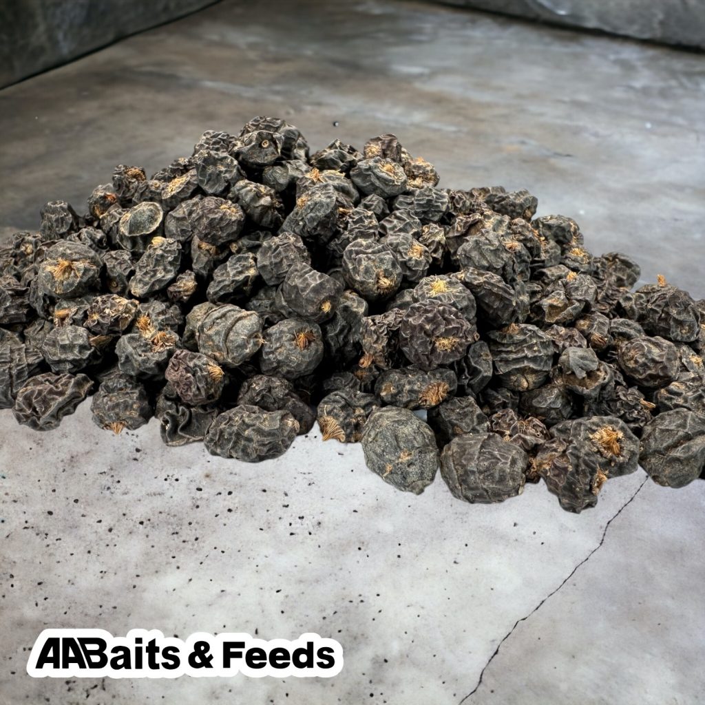 Black Tigernuts (Standard 8-12mm)